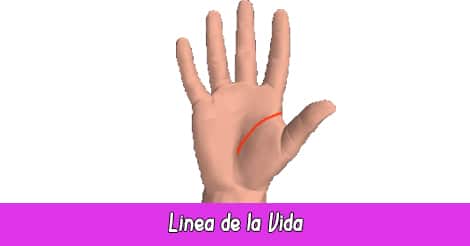 Línea de la Vida 】» 🧙 Quiromancia Gratis – Lectura de Manos